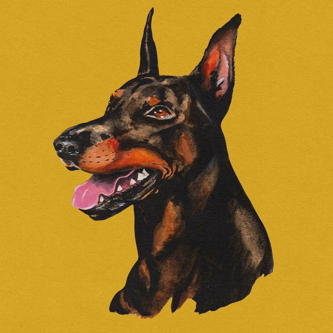 George Yarnton: Fully Illustrated Interview – The No Comply Network